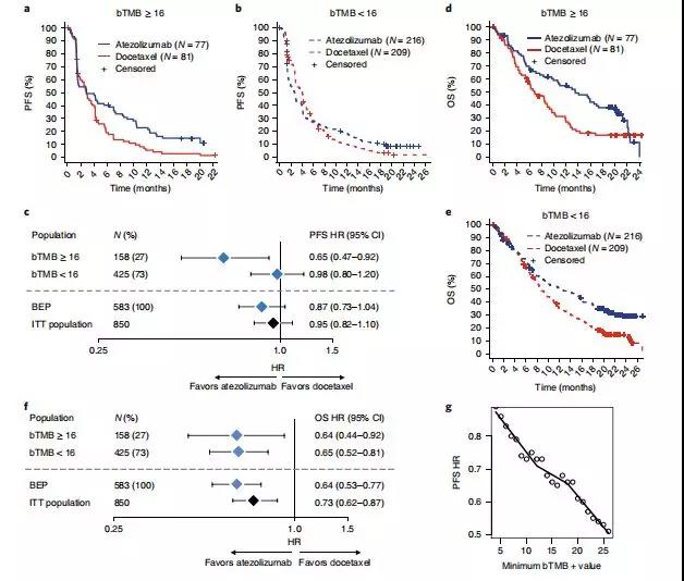 TMB都被“官宣”了，bTMB你确定不了解一下？ - 长沙时代基因医学检验所